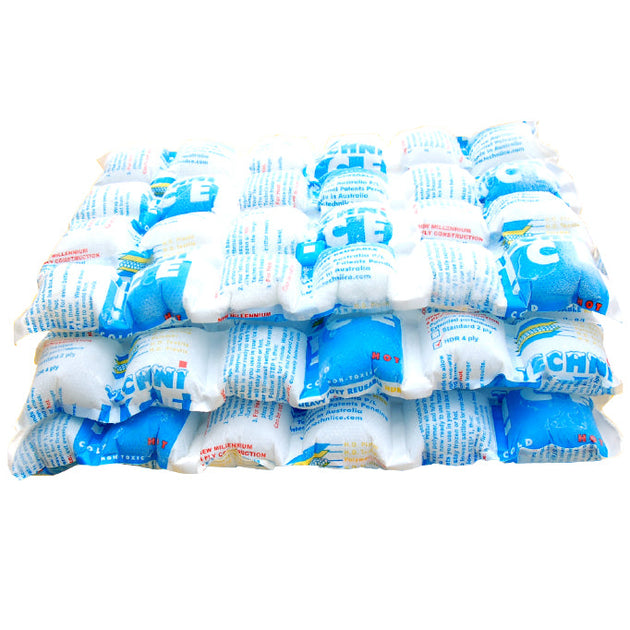 Techni Ice Heavy Duty Reusable Dry Ice packs - Single Sheet– Smokey BBQ ...